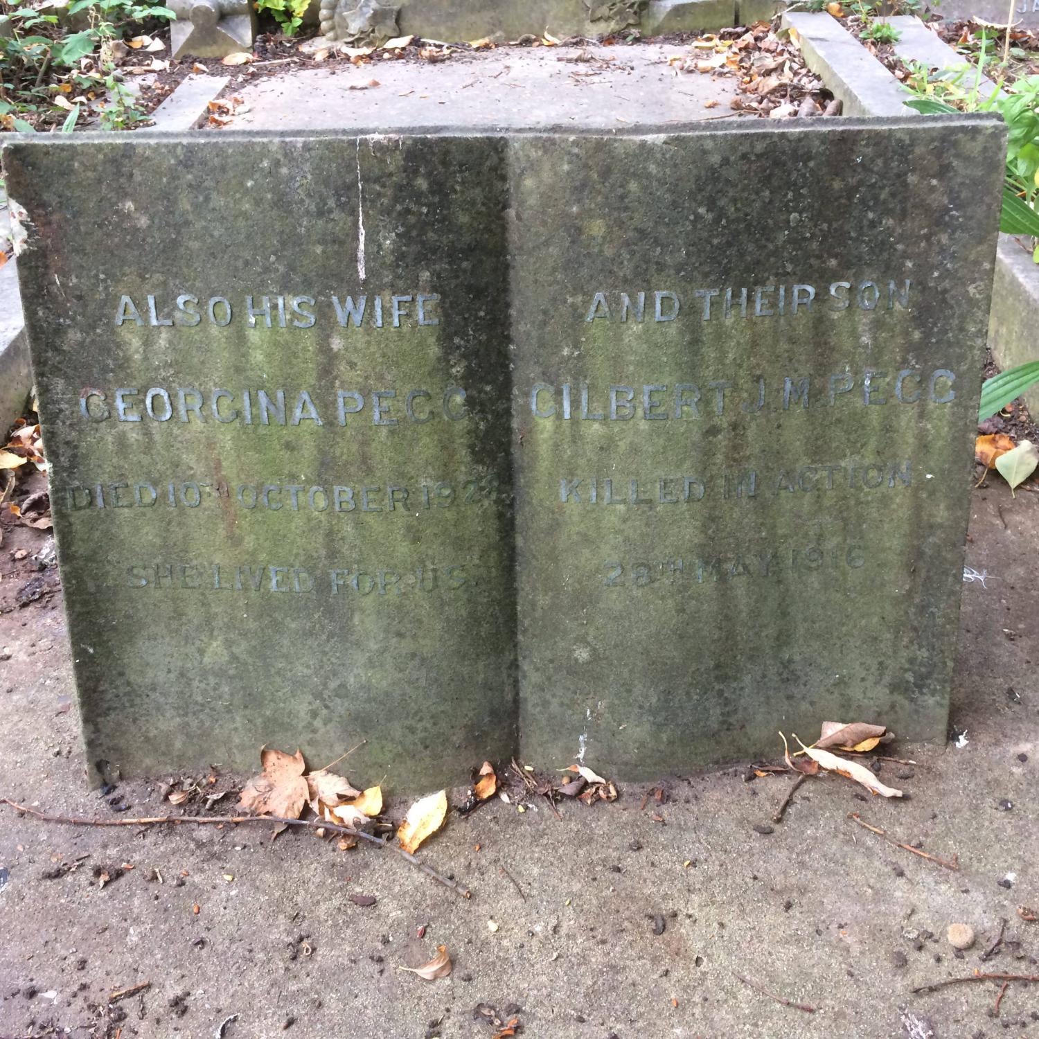 William Pegg (buried 1911) | Friends of Heene Cemetery